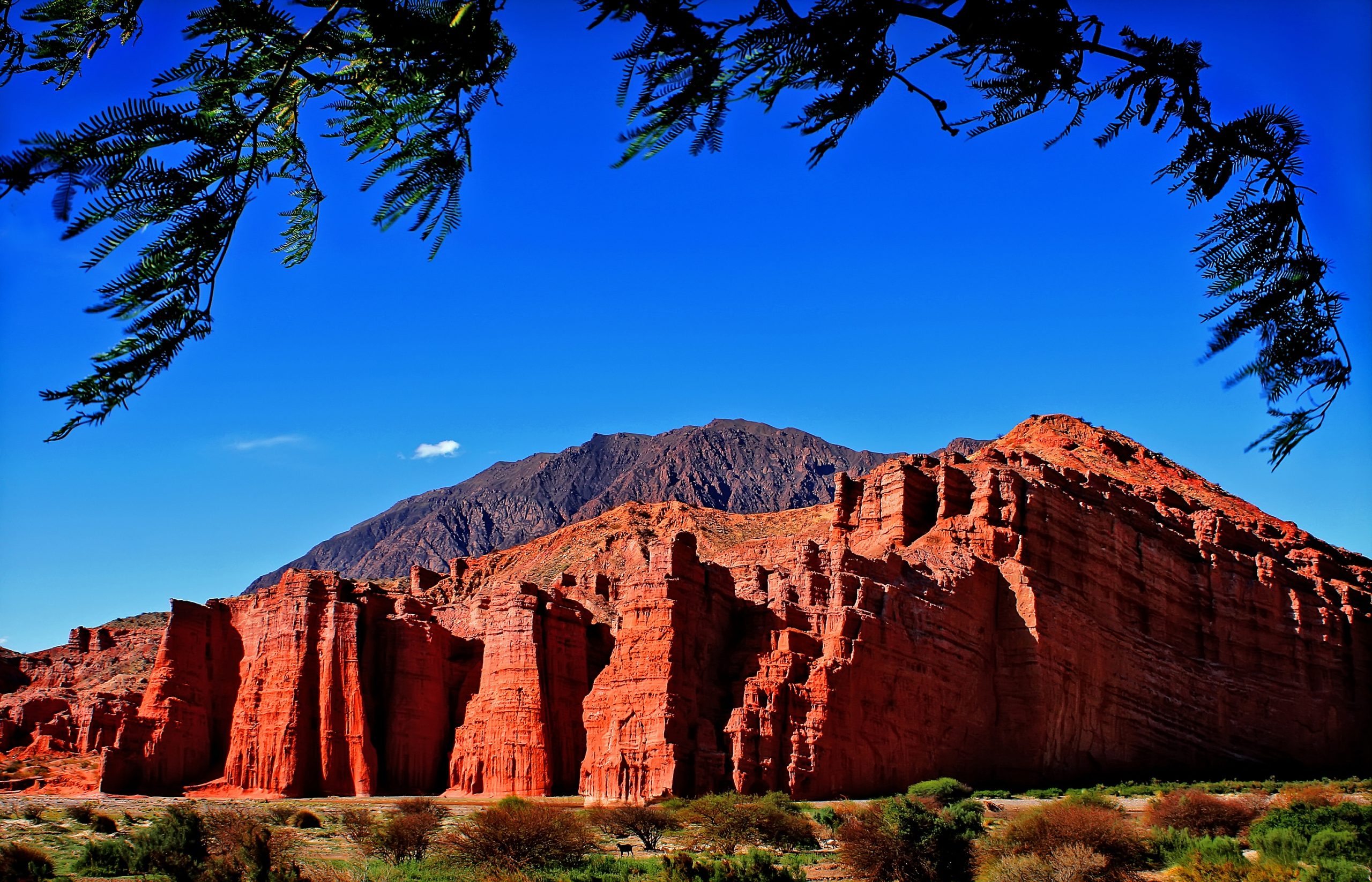 Salta Wine Tour - 5 Days - Vacanza Destinations