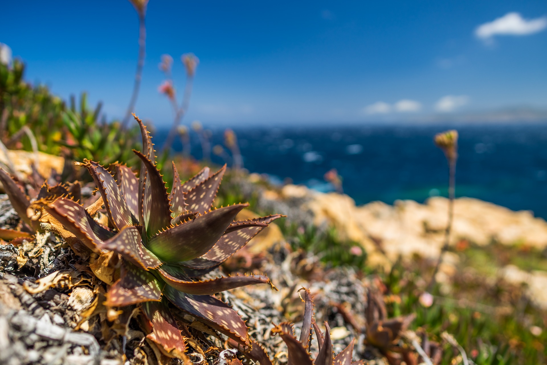 Sardinia Ancient Cultures & Food Experience - Vacanza Destinations